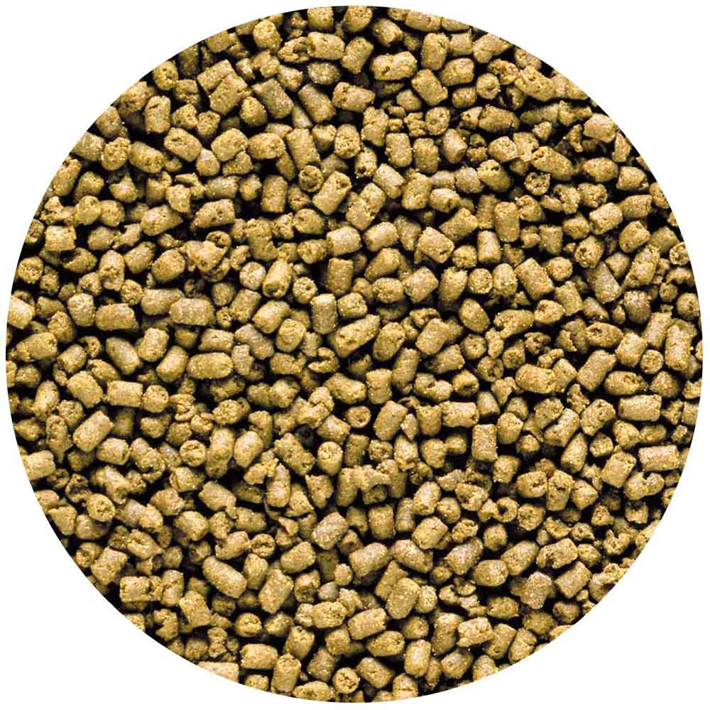 Saki-Hikari Marine Carnivore – Animal.Instinct